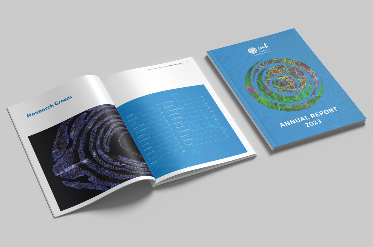 IMB Annual Report 2023: cala media